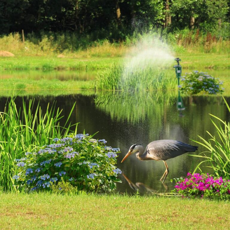 Safeguard Your Pond Life with Floating Pond Protectors and Motion ...