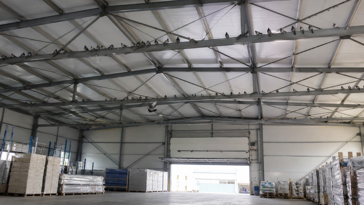 Best Bird Repeller for Industrial Buildings | BirdGard